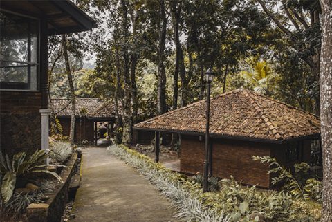 Accommodations - Tree of Life Nature Resort | Hotel in Kandy
